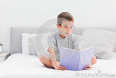 Concentrated Little Boy Sitting On Bed Reading Book Royalty Free Stock ...