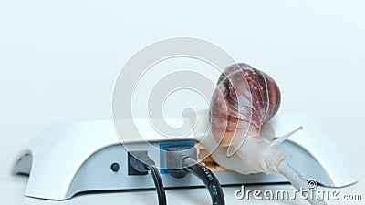 The Concept of a Slow Internet Connection and Data Transfer Over a ...