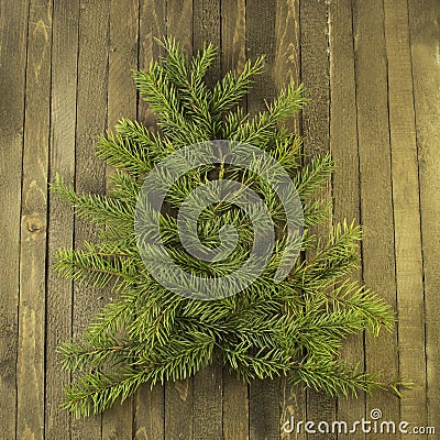 Conifer Figure Background Royalty-Free Stock Photography ...