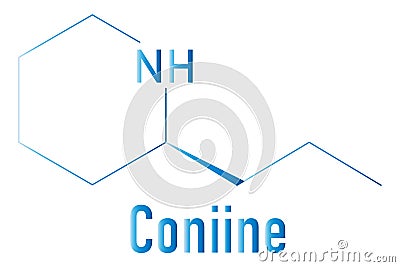Coniine Herbal Toxin Molecule. Present In Poison Hemlock Conium ...