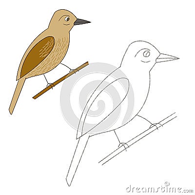 Connect The Dots Game Xenops Bird Vector Stock Vector - Image: 60994298