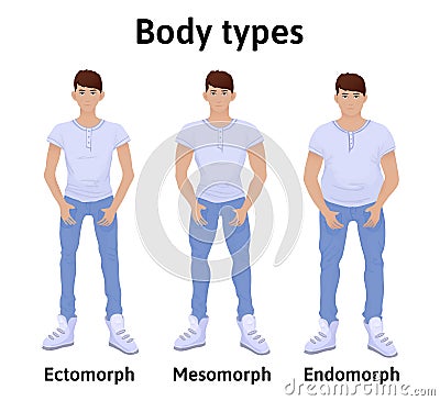 Constitution Of Human Body. Man Body Types. Vector Illustration ...