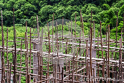 Construction Work With Cement And Wood, Casting Concrete Mortar Columns ...