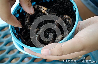 Container Of Worms Royalty-Free Stock Photography | CartoonDealer.com ...