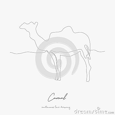 Continuous Line Drawing. Camel. Simple Vector Illustration. Camel ...