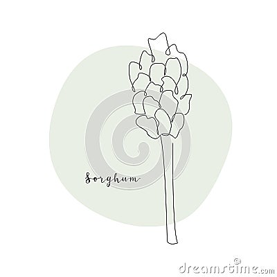 Continuous Line Sorghum, Grain Crop. Vector Line Art. Perfect For Logo ...