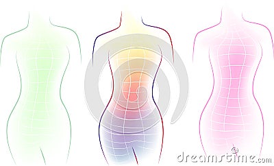 Contour Of A Female Body Royalty Free Stock Photography - Image: 11890937