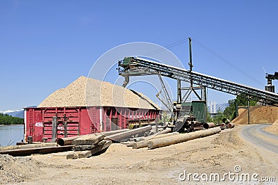 Conveyor Transporting Sawdust Into A Vessel Royalty Free Stock Photos ...