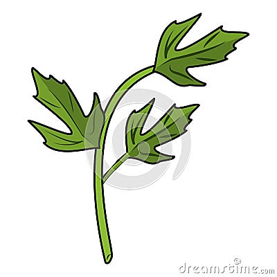 Coriander Leaves Herbal Cartoon | CartoonDealer.com #146882857