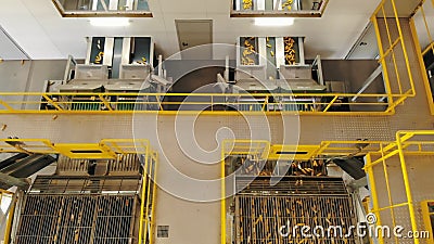 Corn. Corn Seeds Production. Corn Processing Factory. an Enterprise for ...