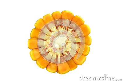 Corn Cross Section Isolated On White Royalty-Free Stock Image ...