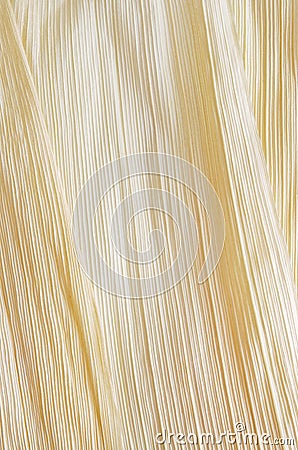 Corn Husk Stock Photography - Image: 21910982