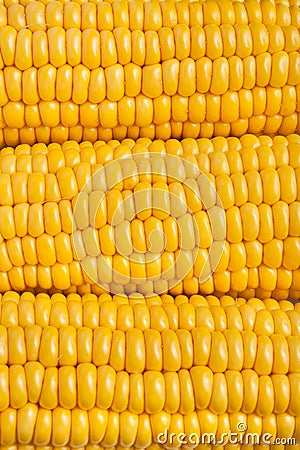Corn Texture Royalty Free Stock Photo - Image: 20188245