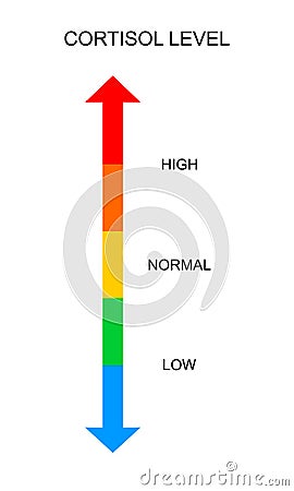 Cortisol Meter Vertical Scale. Body Stress Response Levels Chart From ...