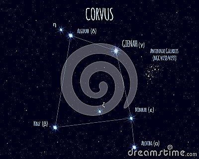 Corvus Constellation, Vector Illustration With The Names Of Basic Stars ...