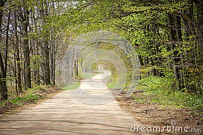 Country Road In Springtime Stock Photos - Image: 24606923
