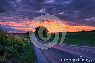 Country Road Sunset Stock Image - Image: 10940251