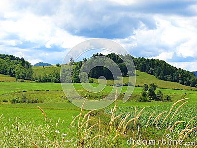 In The Countryside Royalty Free Stock Images - Image: 225889