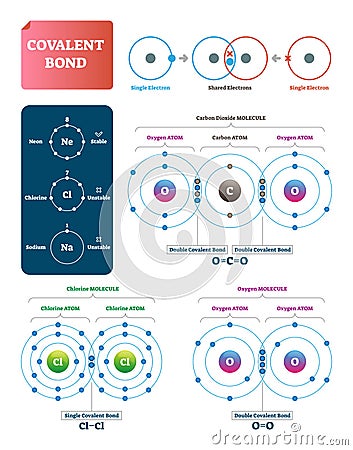 Covalent Bond Vector Illustration. Explanation And Example Labeled ...