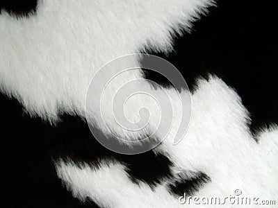 Cow print Images - Search Images on Everypixel