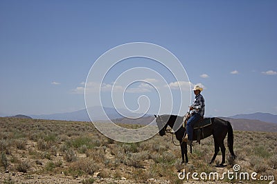 Cowboy In The Desert Royalty Free Stock Images - Image: 10884129