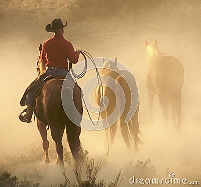 Cowboy In The Dust Royalty Free Stock Photos - Image: 2434338