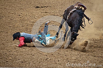 Rough Ride stock image. Image of chestnut, crash, bronco - 762297