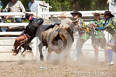Bull Riding 2 stock photo. Image of rural, competition - 560330