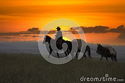 Cowboy With Pack Horses Silhouette Stock Image | CartoonDealer.com ...