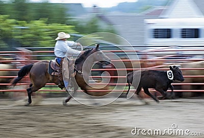 Cutting Out Calf Number Four Panning and Motion Blur Stock Image ...