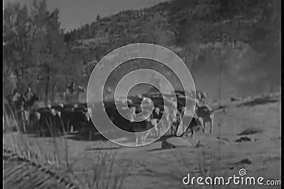 Cowboys Herding Cattle Across the Prairie Stock Video - Video of large ...
