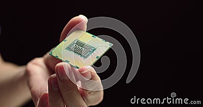 CPU In Hands Of A Technician. The Processor Is Being Examined For ...
