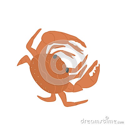 Crab Isolated On White Background. Marine Creature And Underwater ...