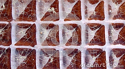Cracked Ceramic Texture,seamless Patterns Stock Photo | CartoonDealer ...