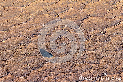 Cracked Ground Texture Stock Photography | CartoonDealer.com #46344242
