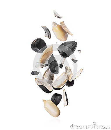 Cracked Sunflower Seed Fall Down, Isolated On A White Background Stock ...
