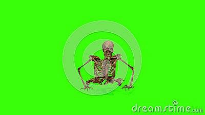 Skeleton Crawling - Halloween Concept Stock Video - Video of dead ...