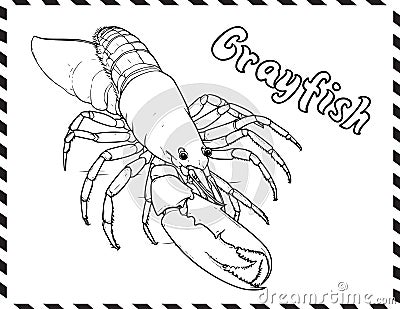 Crayfish In Sea Coloring Pages Drawing For Kids Cartoon Vector ...