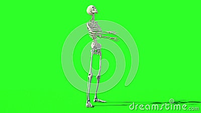 Crazy Skeleton Funny Dancing. GI Render. Green Screen Footage ...
