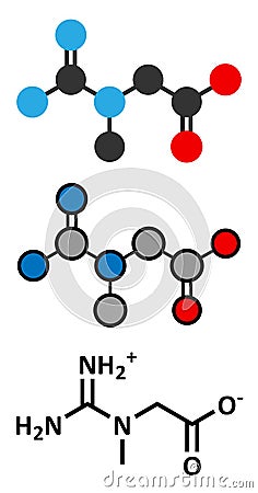 Creatine Molecule. Often Used In Food Supplements. Stylized 2D ...