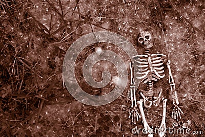Creepy Halloween Skeleton Stock Image - Image: 9643301