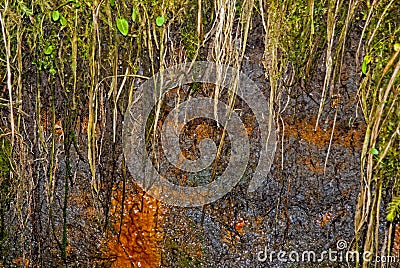 Cross Section Through Ferrous Substrate Stock Photography ...