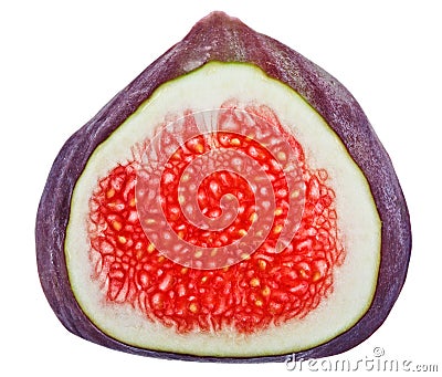 Cross-section Of Fig Tree Fruit Stock Photography | CartoonDealer.com ...