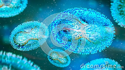 Cross Section Of A Smallpox Pathogen With Cell Membrane, Nucleocapsid ...