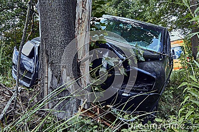 Crossover Collision With A Tree On A Road At The Scene Of A Car ...
