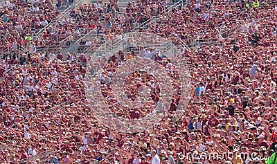 5,244 Sold Out Photos - Free & Royalty-Free Stock Photos from Dreamstime