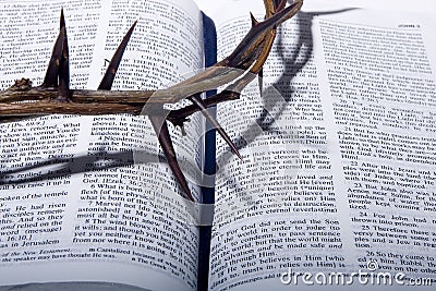 Crown Of Thorns On Bible Stock Image - Image: 11853531