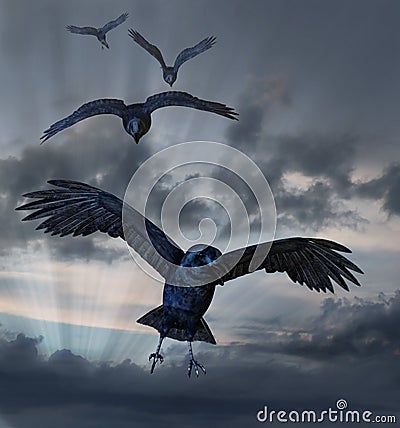 Crows Flying Stock Image - Image: 19365601