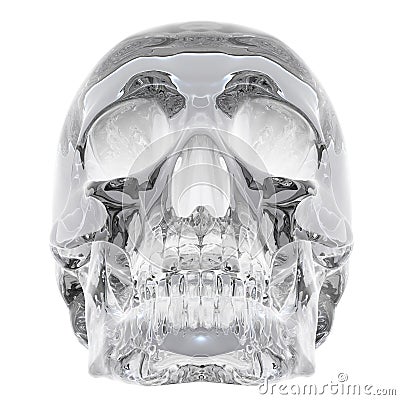 Crystal Skull Stock Photo - Image: 5548330