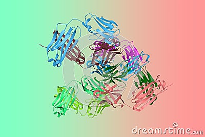 Crystal Structure Of Canakinumab, A Human Monoclonal Antibody ...